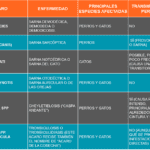 Abscesos en perros causas comunes y opciones de tratamiento - Caninopedia